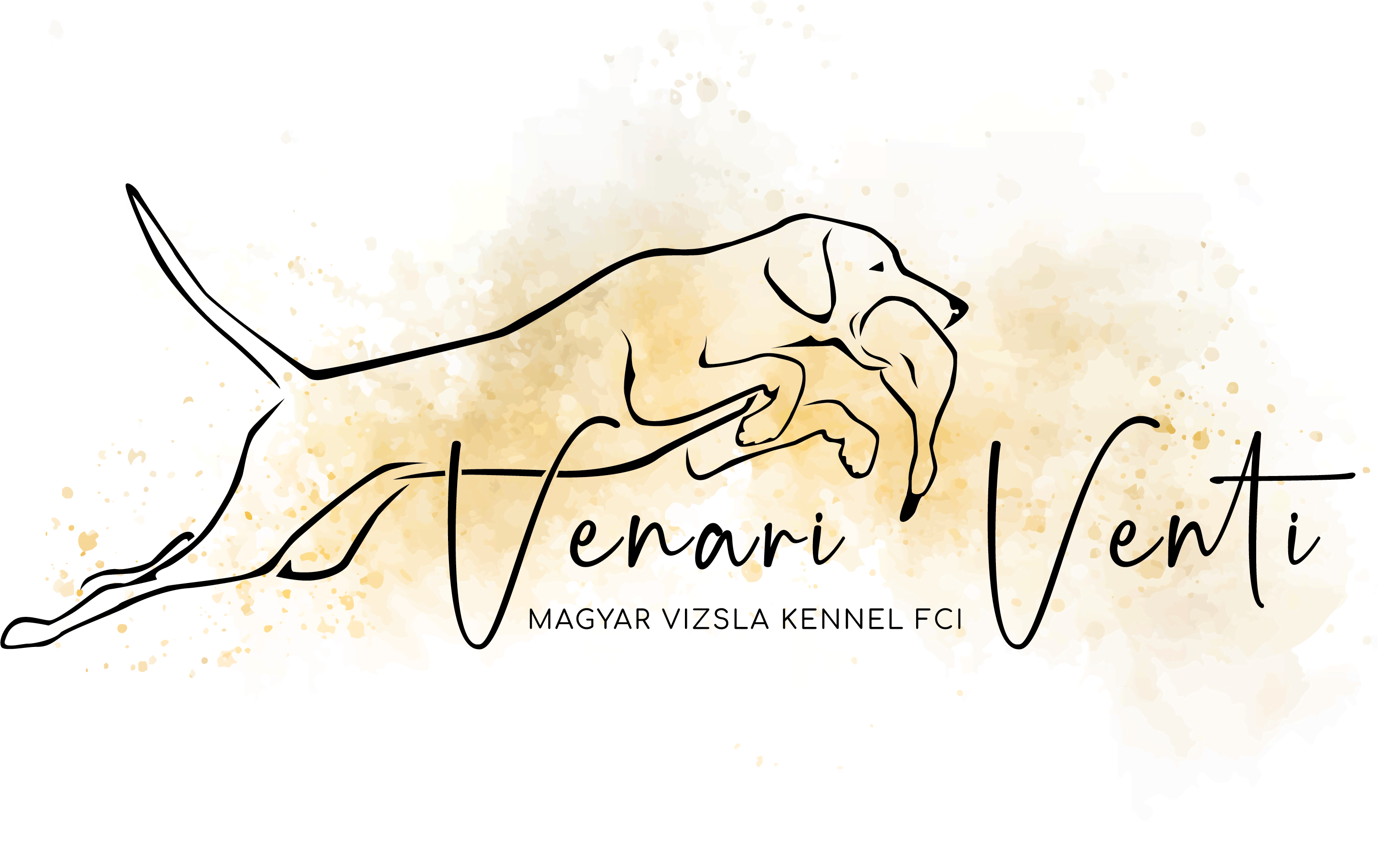 Wyżeł Węgierski Hodowla ZKwP